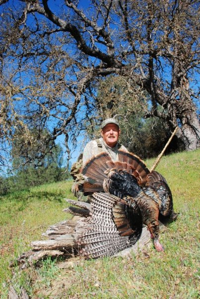 California Turkey Hunts
