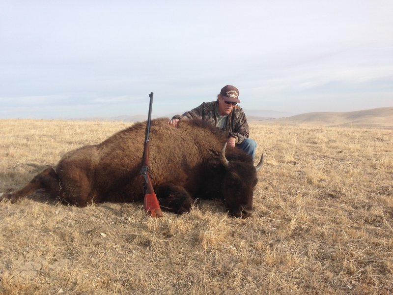 Buffalo Hunting in California