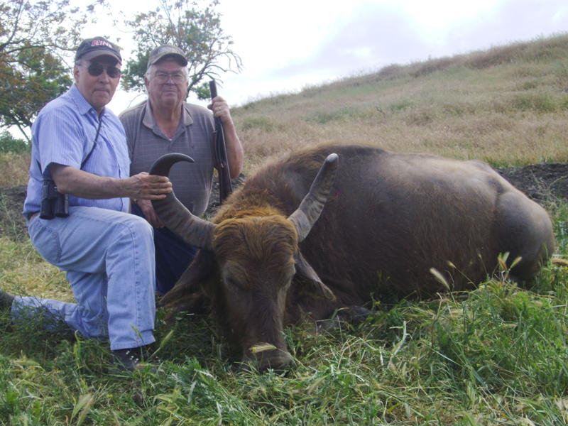 California Water Buffalo Hunts